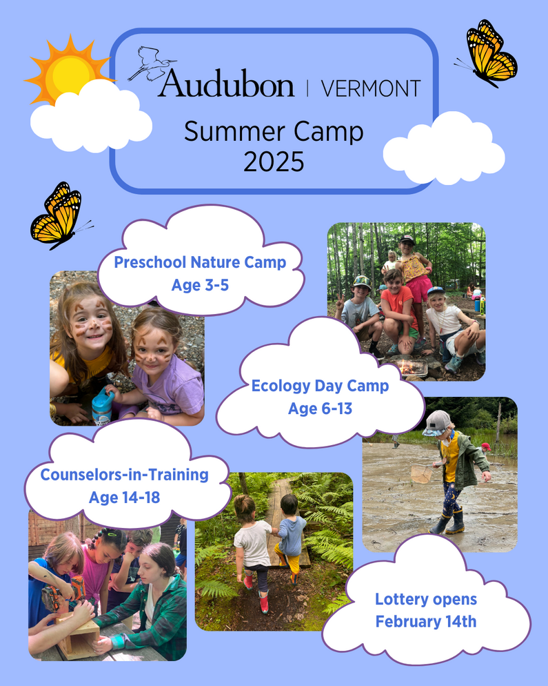 Welcome to summer camp registration 2025! | Audubon Vermont