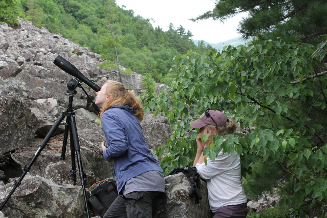 Welcoming New Youth Conservation Leadership Participants | Audubon Vermont